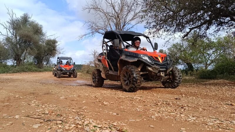 From Albufeira: Paderne Adventure Buggy Ride - A Dive Into the Experience: What You Can Expect