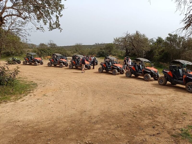 From Albufeira: Paderne Adventure Buggy Ride - Authenticity and Real-World Value
