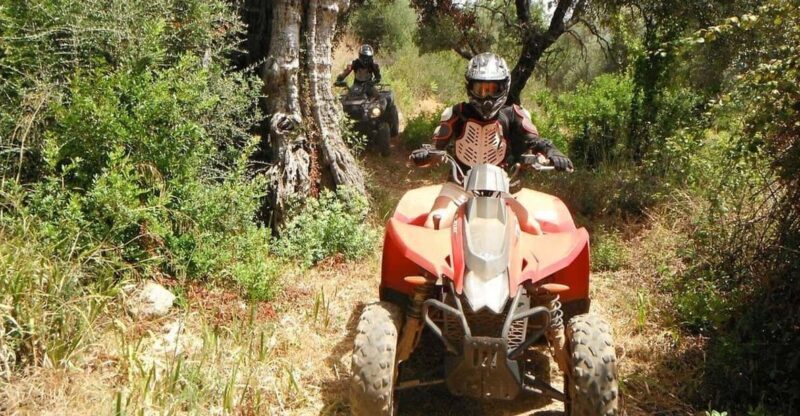 From Albufeira: Paderne Adventure Quad Ride - Introduction