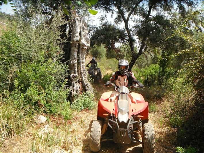 From Albufeira: Paderne Adventure Quad Ride - Key Points