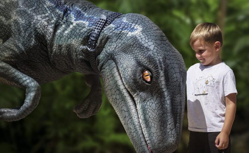 From Alcúdia: Dinosaurland and Hams' Caves Half-Day Trip - Introduction: Why This Tour Stands Out