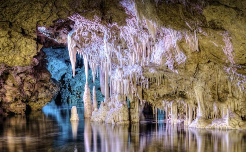 From Alcúdia: Dinosaurland and Hams' Caves Half-Day Trip - Who Will Love This Tour?