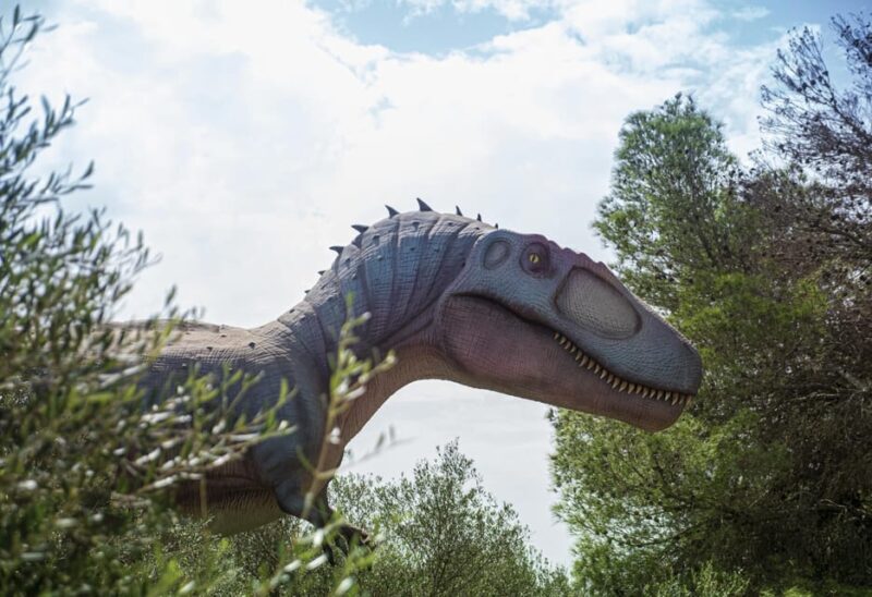 From Alcúdia: Dinosaurland and Hams' Caves Half-Day Trip - The Sum Up: Who Is This Tour Perfect For?