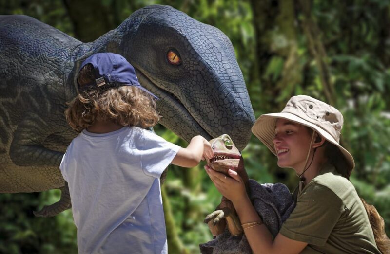From Alcúdia: Dinosaurland and Hams' Caves Half-Day Trip - FAQ