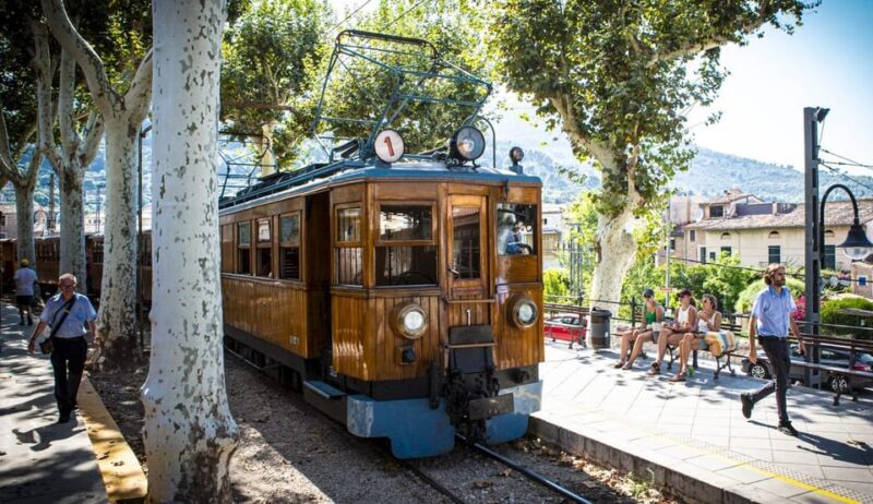 From Alcúdia: Soller Train and Tram Half Day Tour - The Sum Up: Who Should Join This Tour?