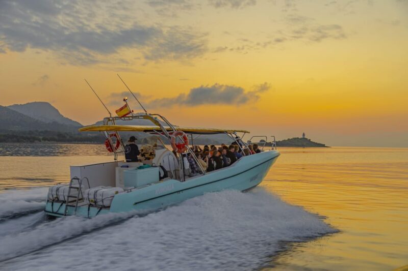From Alcudia: Sunrise Dolphin Watching Boat Tour - The Experience: Authentic Encounters and Wildlife Respect