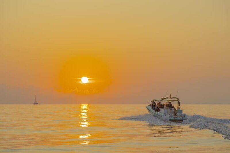 From Alcudia: Sunrise Dolphin Watching Boat Tour - Price and Value