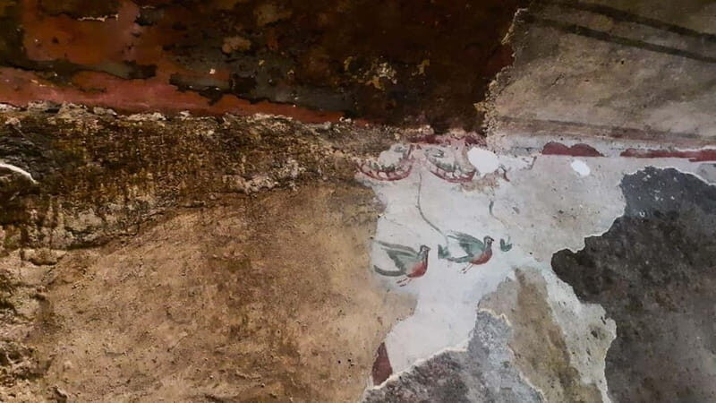 From Alghero: Archaeological Highlights Tour with Lunch - Who Will Love This Tour?