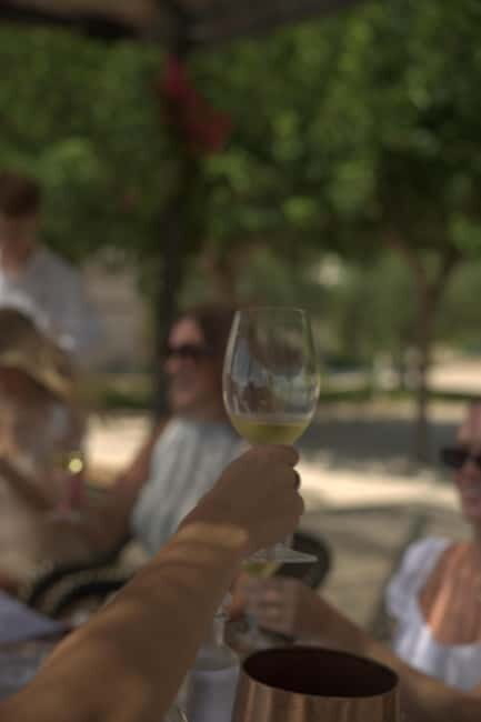 From Alicante: 2 Premium Wine Tastings and Tapas - Discovering the Charm of Alicante’s Wineries: A Balanced Review of the "2 Premium Wine Tastings and Tapas" Tour