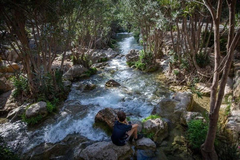 From Alicante and Benidorm: Famous Algar Fountain Tour. Private transportation - Key Points