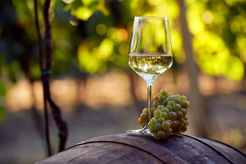 From Alicante and Elche: Guided tour for vineyard and winery with tasting - Key Points