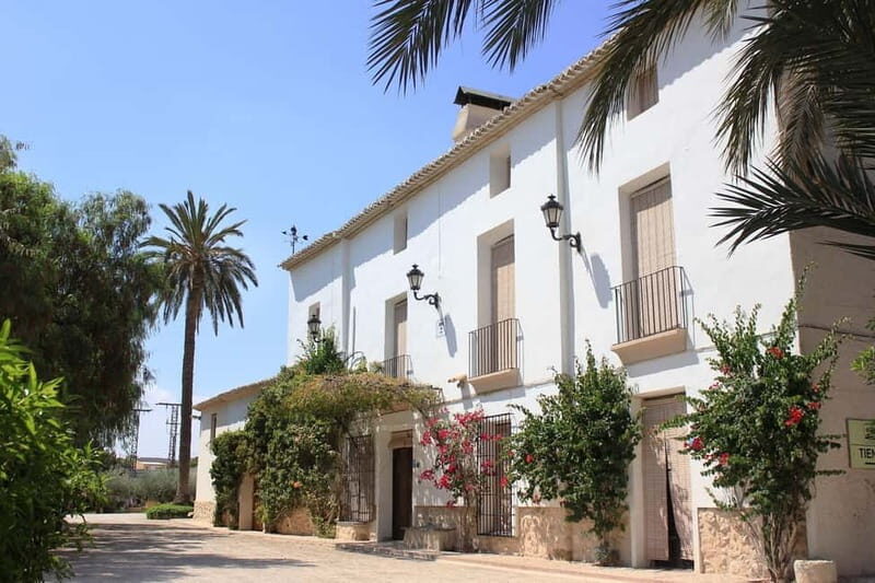 From Alicante and Elche: Guided tour for vineyard and winery with tasting - FAQs