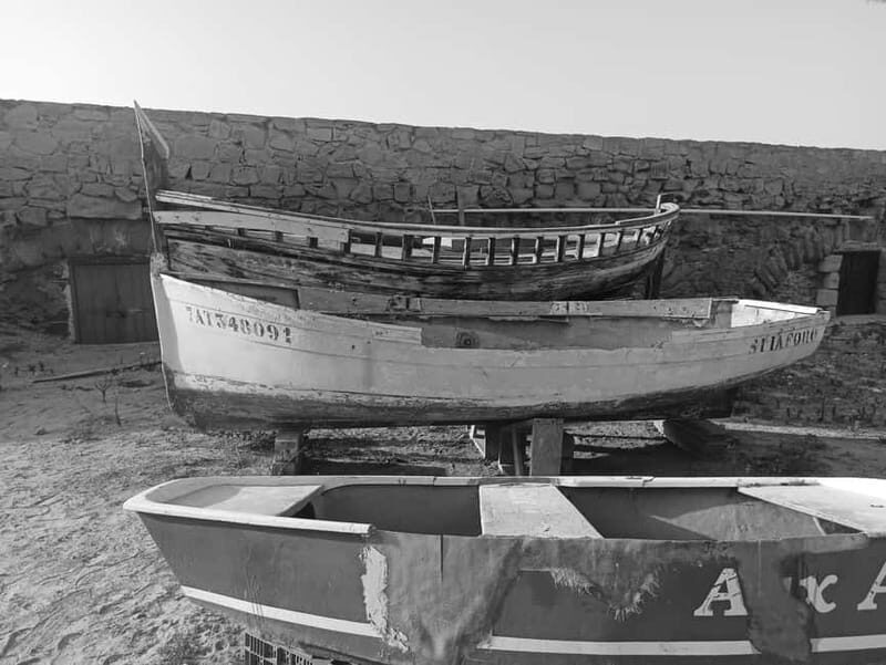 From Alicante and Torrevieja: Excursion to Tabarca, Santa Pola and Laguna Rosa - Key Points
