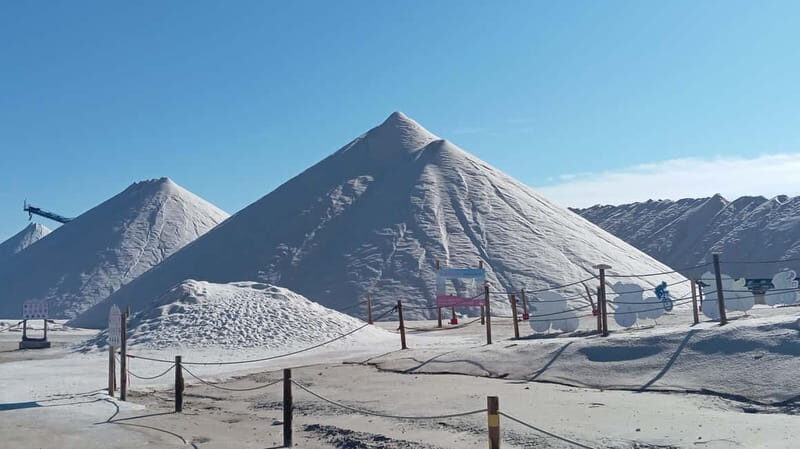 From Alicante and Torrevieja: Excursion to Tabarca, Santa Pola and Laguna Rosa - Additional Highlights and Practical Details