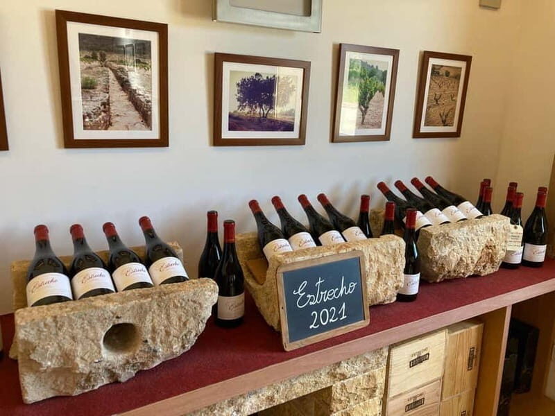 From Alicante, Benidorm-Best winery tour with tasting - Who Will Love This Tour?