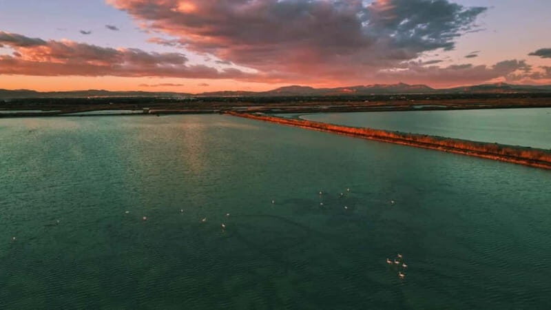 From Alicante/Benidorm: Tabarca Island & Santa Pola Salinas - An In-Depth Look at the Tour Experience