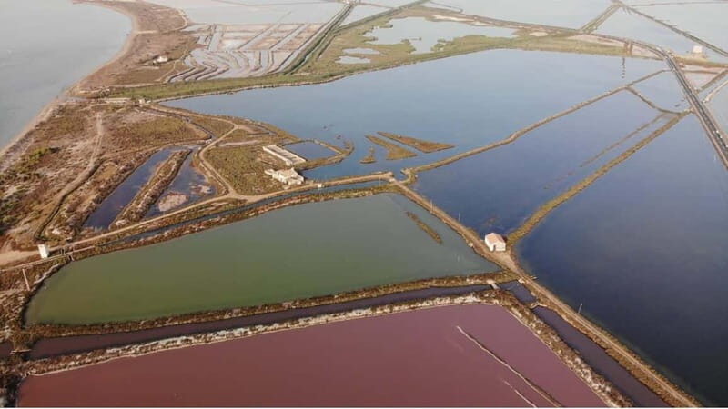 From Alicante/Benidorm: Tabarca Island & Santa Pola Salinas - Frequently Asked Questions