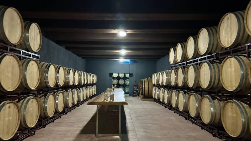 From Alicante ,Benidorm: Winery Tour and Wine Tasting - Arrival and Transfer: Comfort and Convenience