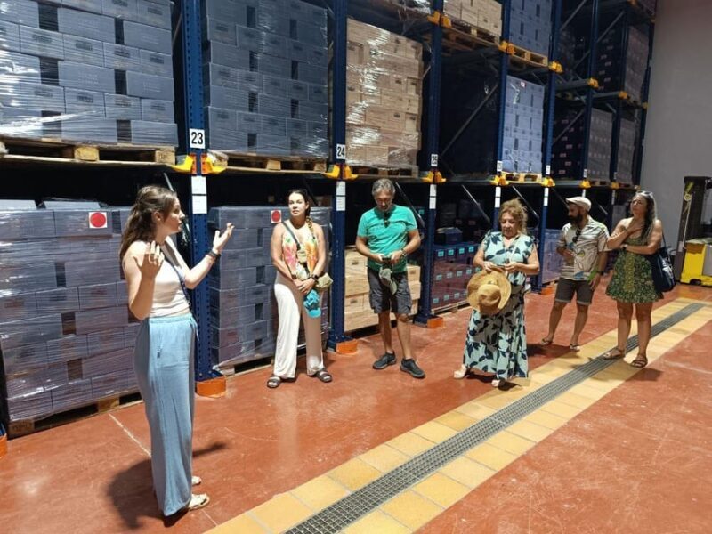 From Alicante ,Benidorm: Winery Tour and Wine Tasting - Production Rooms: The Art of Making Wine