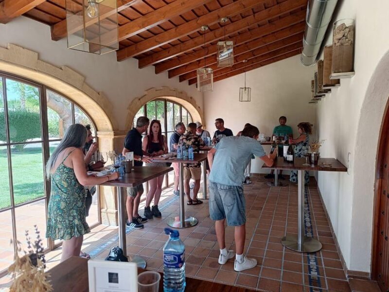 From Alicante ,Benidorm: Winery Tour and Wine Tasting - Practicalities and Value