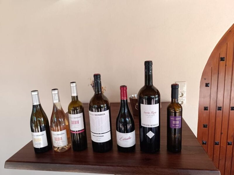 From Alicante ,Benidorm: Winery Tour and Wine Tasting - Who Should Consider This Tour?