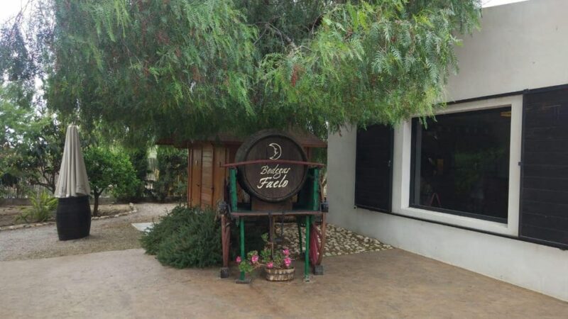 From Alicante: Best Winery Tour and Wine Tasting - The Itinerary in Detail