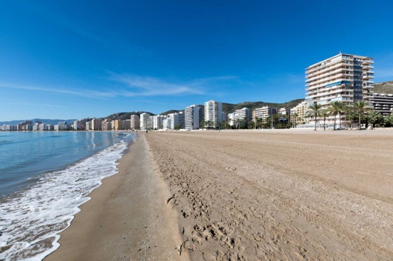 From Alicante: Cullera Old Town and Albufera Natural Park - A Well-Rounded Introduction to Cullera and Albufera