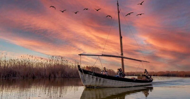From Alicante: Cullera Old Town and Albufera Natural Park - Who Will Enjoy This Tour?