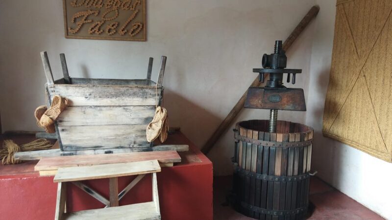 From Alicante & Elche: Family owned rural Winery (tasting) - Introduction