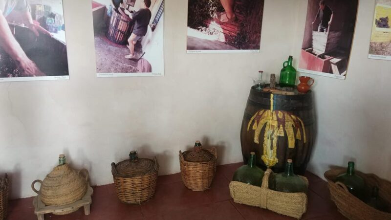 From Alicante & Elche: Family owned rural Winery (tasting) - Key Points