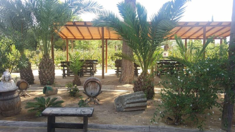 From Alicante & Elche: Family owned rural Winery (tasting) - The Experience for Different Travelers