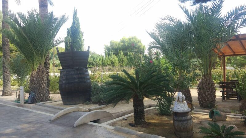 From Alicante & Elche: Family owned rural Winery (tasting) - FAQ