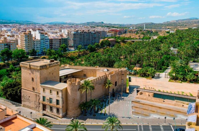 From Alicante: Elche Half-Day of Palms, History & Heritage - Summary