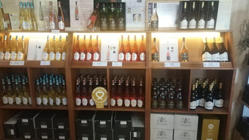 From Alicante: Premium visit to the winery. The best of our wines. - Key Points