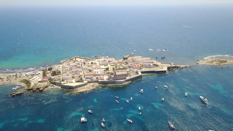 From Alicante: Speedboat tour to Tabarca Island with snorkeling - Key Points