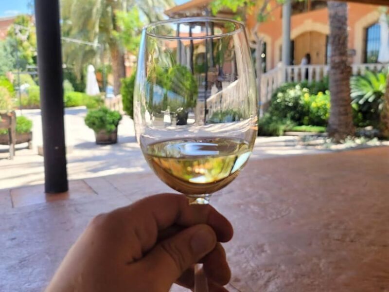 From Alicante: Winery Tour and Wine Tasting with Tapas - An In-Depth Look at the Experience