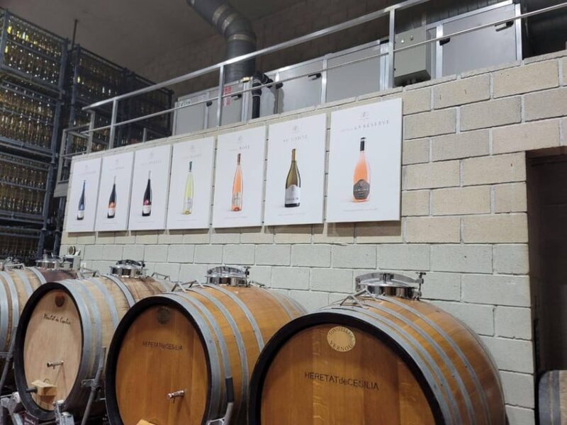 From Alicante: Winery Tour and Wine Tasting with Tapas - The Practicalities