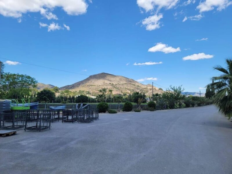 From Alicante: Winery Tour and Wine Tasting with Tapas - FAQs