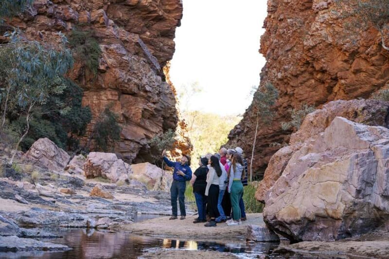 From Alice Springs: Half Day West MacDonnell Ranges Tour - Key Points