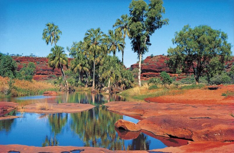 From Alice Springs: Palm Valley 4WD Outback Safari + Picnic - Introduction