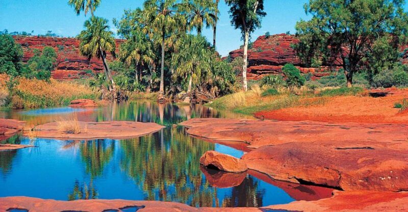 From Alice Springs: Palm Valley 4WD Outback Safari + Picnic - Key Points