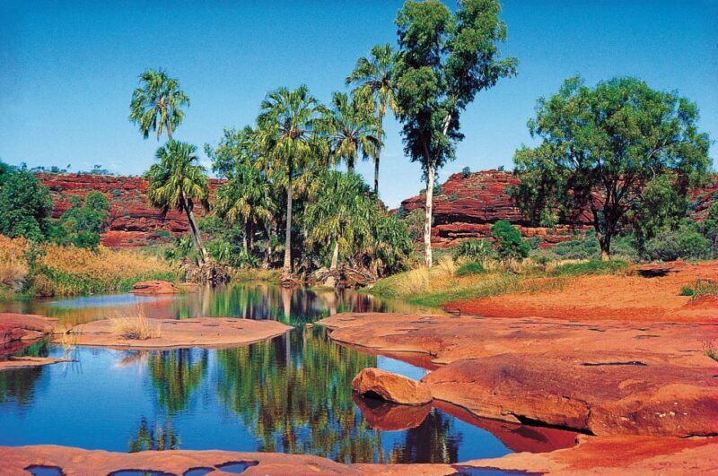 From Alice Springs: Palm Valley 4WD Outback Safari + Picnic - What’s Included and What’s Not