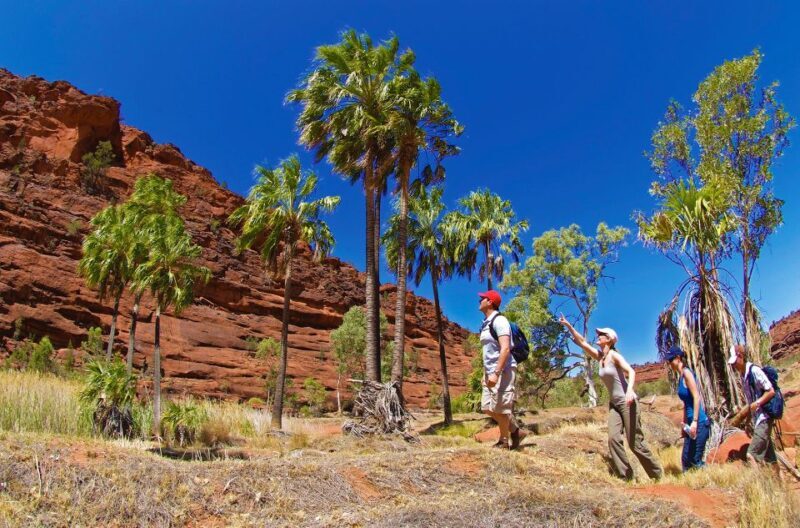 From Alice Springs: Palm Valley 4WD Outback Safari + Picnic - FAQs