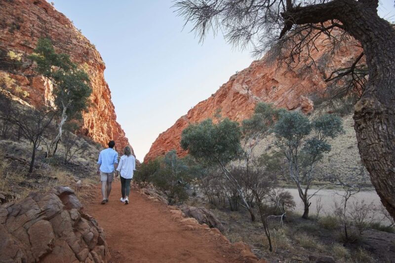 From Alice Springs: West MacDonnell Ranges Half Day Trip - A Closer Look at the Tour Itinerary
