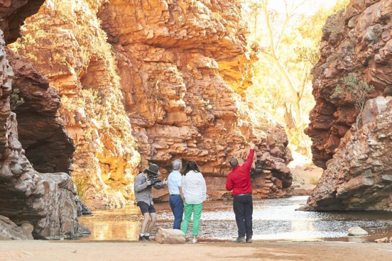 From Alice Springs: West MacDonnell Ranges Half Day Trip - What Do Reviews Say?