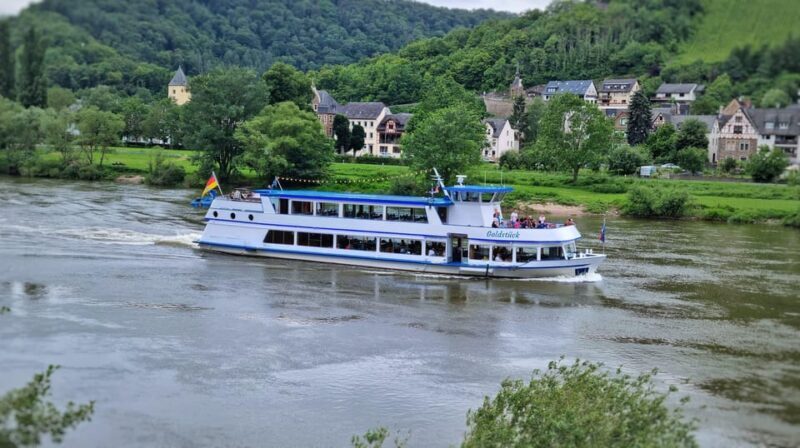 From Alken: Moselle Valley Sightseeing Cruise - Who Will Love This Experience?