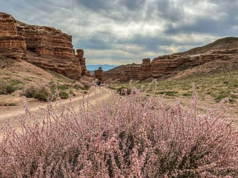 From Almaty: Charyn Canyon Full-Day Trip with Boxed Lunch - A Closer Look at the Charyn Canyon Full-Day Trip
