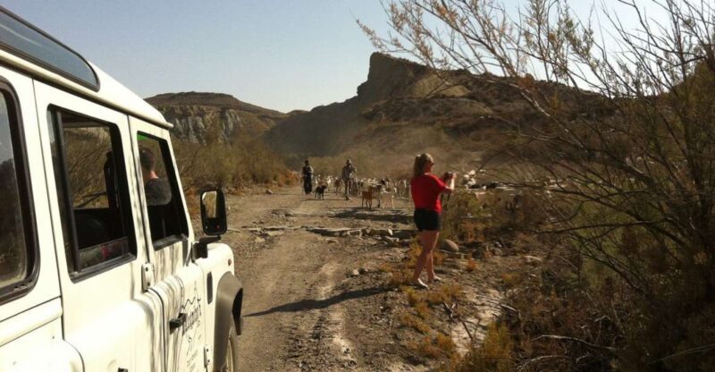 From Almeria: Tabernas Desert 4WD joyriding Tour - Exploring the Landscape of the Tabernas Desert