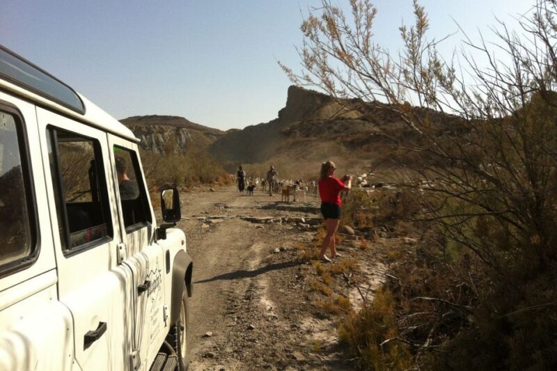 From Almeria: Tabernas Desert 4WD joyriding Tour - What to Expect During the Tour