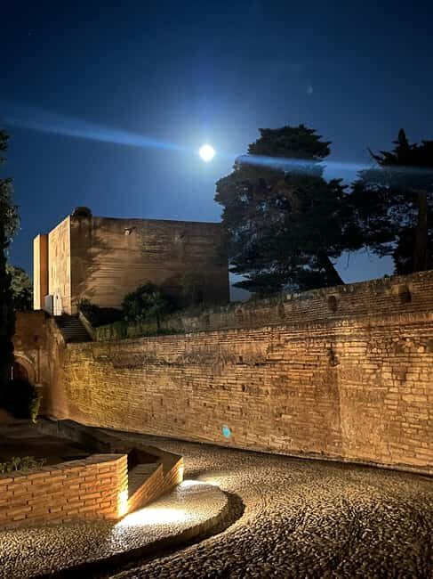 From Almuñécar: Granada Day Trip with Alhambra and Cathedral - Key Points